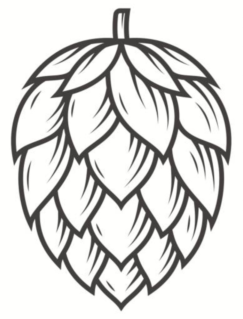 Hop Cone – Line Drawing | Hop Doctor