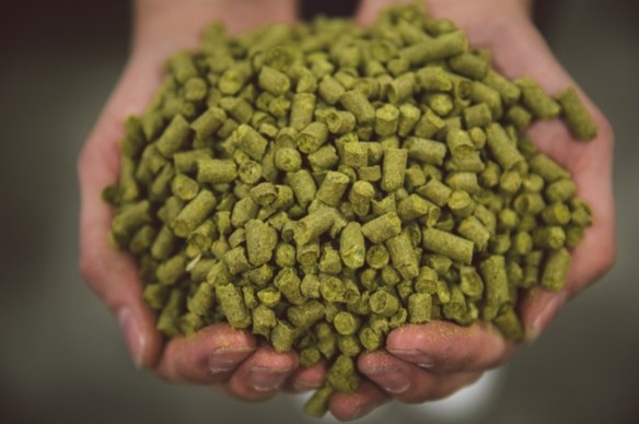 Understanding the Hop Stability Index: Key for smaller scale brewers ...